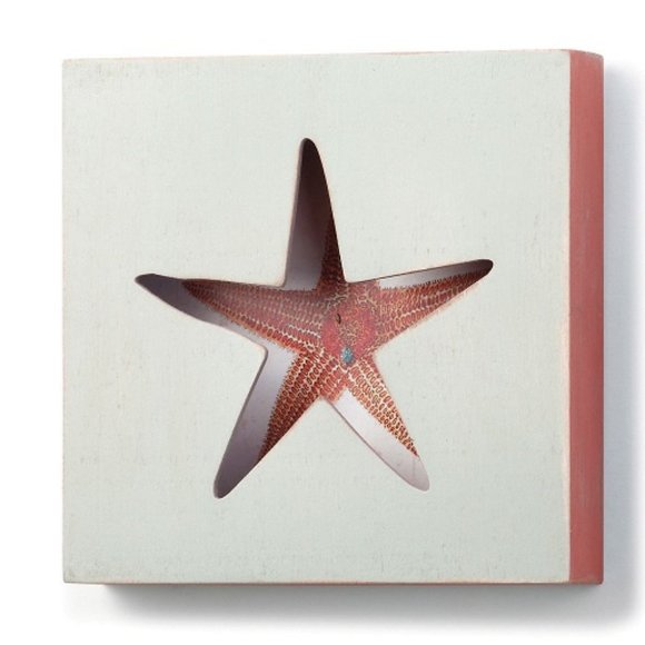 Nathan Murrell | Wall Decor | The Nathan Murrell Collection Starfish ...